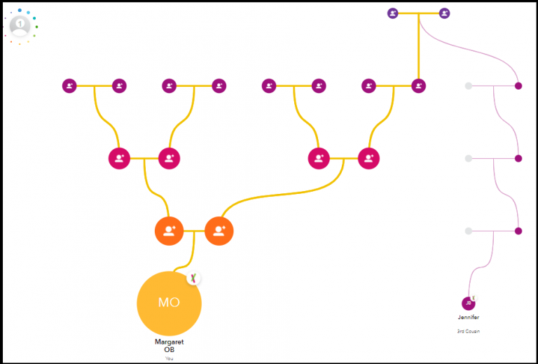 How to View a Family Tree on 23andme - Sands Bart1990