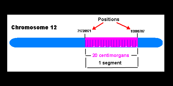 Ancestry Centimorgans and Segments (and Longest Segments) – Data Mining DNA
