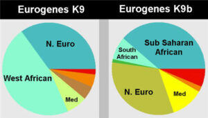 Eurogenes On GEDmatch (Explained For Beginners) – Data Mining DNA