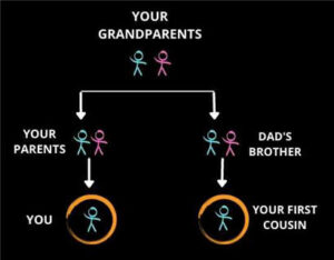 What Are First Cousins? (All Questions Answered) – Data Mining DNA