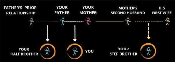 Half Siblings Explained (All Questions Answered) – Data Mining DNA