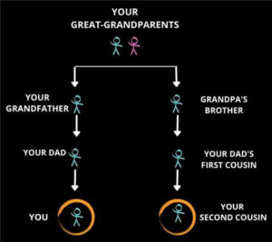 Second Cousins Explained (All Your Questions Answered) – Data Mining DNA
